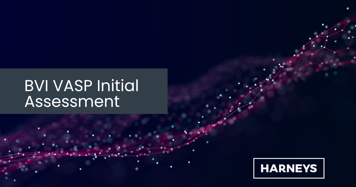 Virtual Asset Service Provider Initial Assessment | Free VASP ...